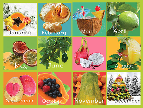 Tropical Seasons - Brooks Tropicals