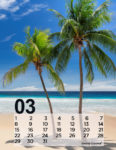 Tropical desktop calendar, free download - Brooks Tropicals
