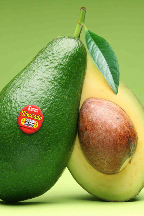 About us - Brooks Tropicals