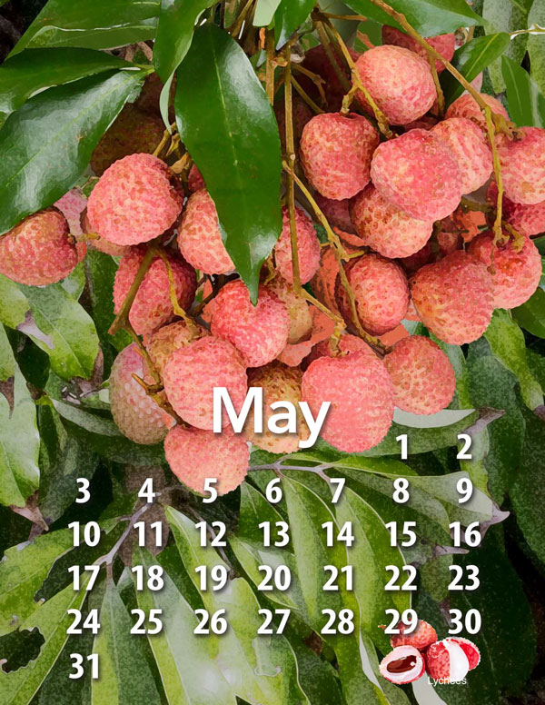 Free tropical fruit calendar - Brooks Tropicals