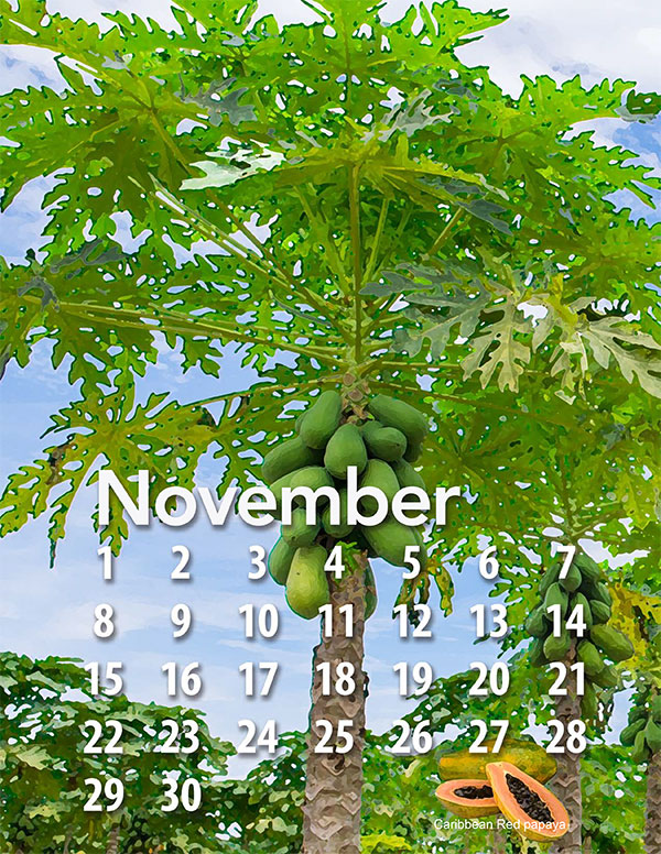 2020 Tropical Fruit calendar - Brooks Tropicals